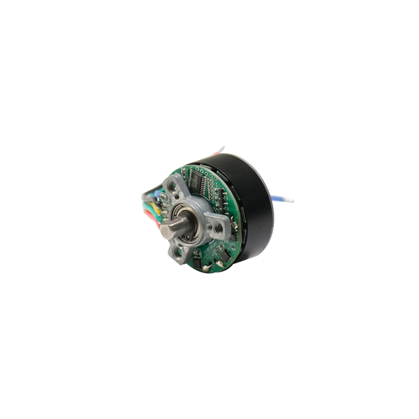 Brushless Motor-Massage gun_Motors_Products_EVER MOTOR